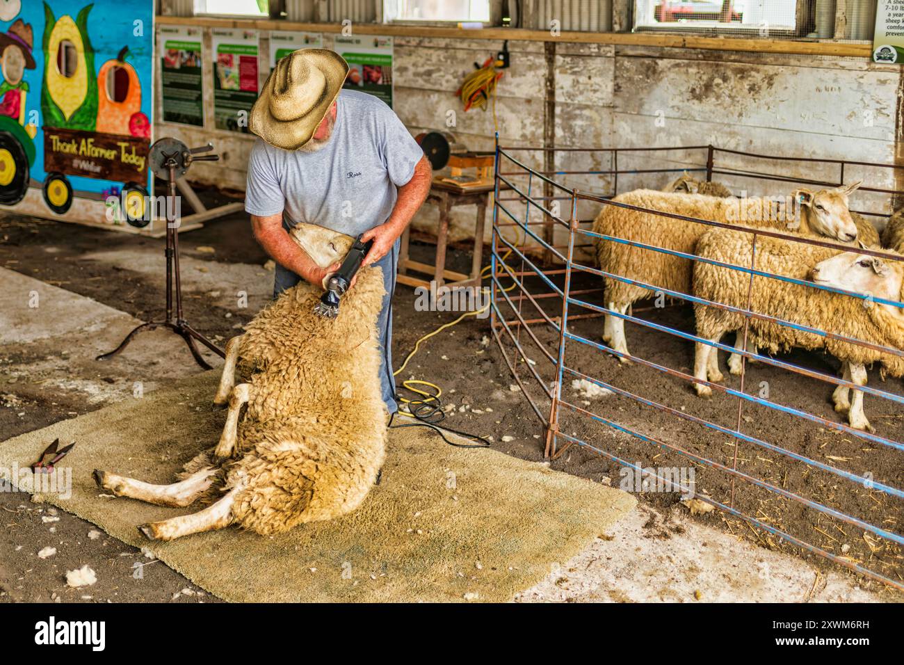 Vankleek hill fair attractions hi-res stock photography and images - Alamy