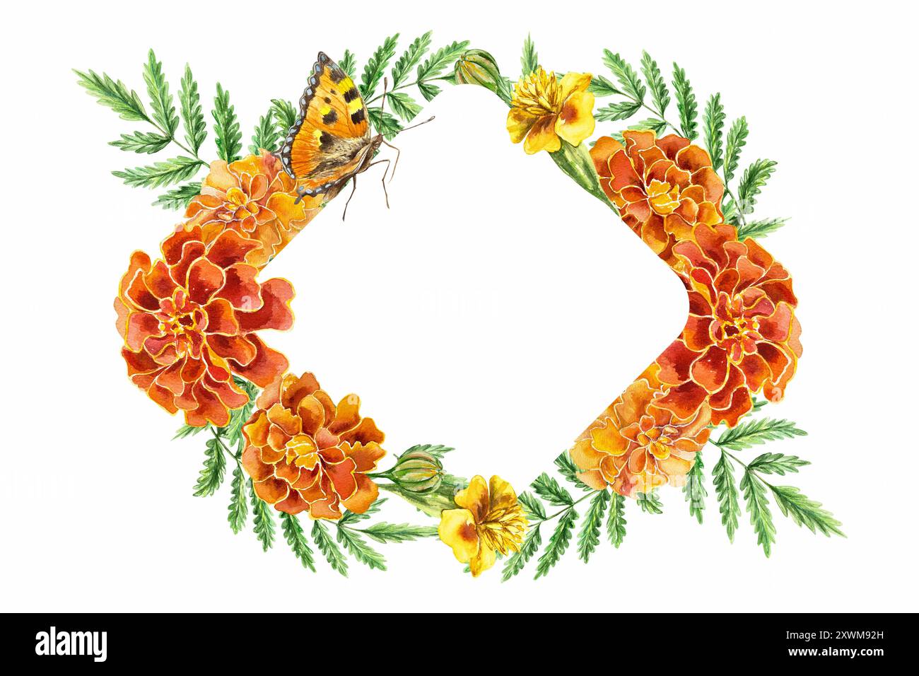 Marigolds watercolor frame. Floral horizontal template for text. Hand ...