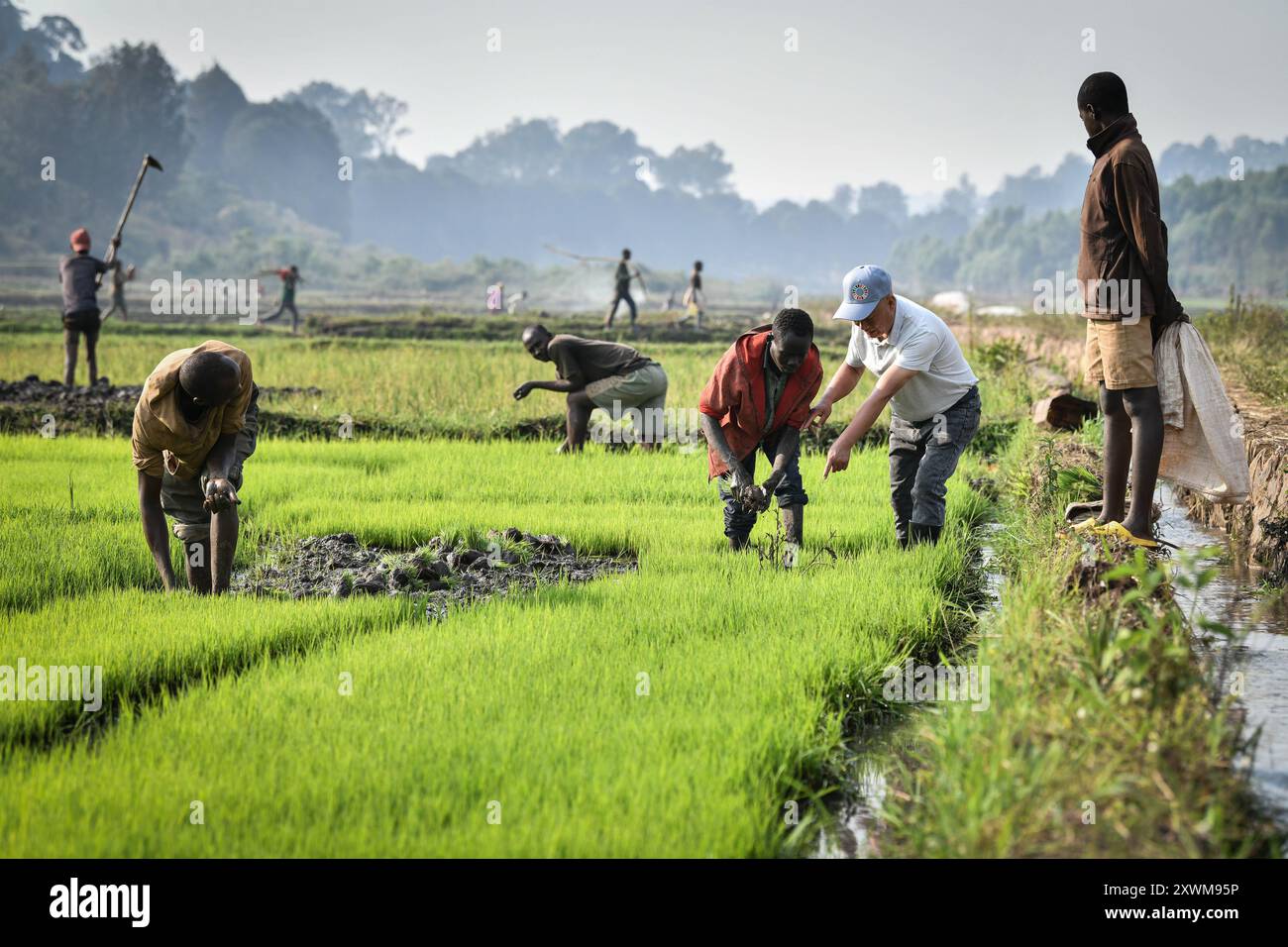 (240820) -- KIGALI, Aug. 20, 2024 (Xinhua) -- Zheng Ruijin (2nd R ...