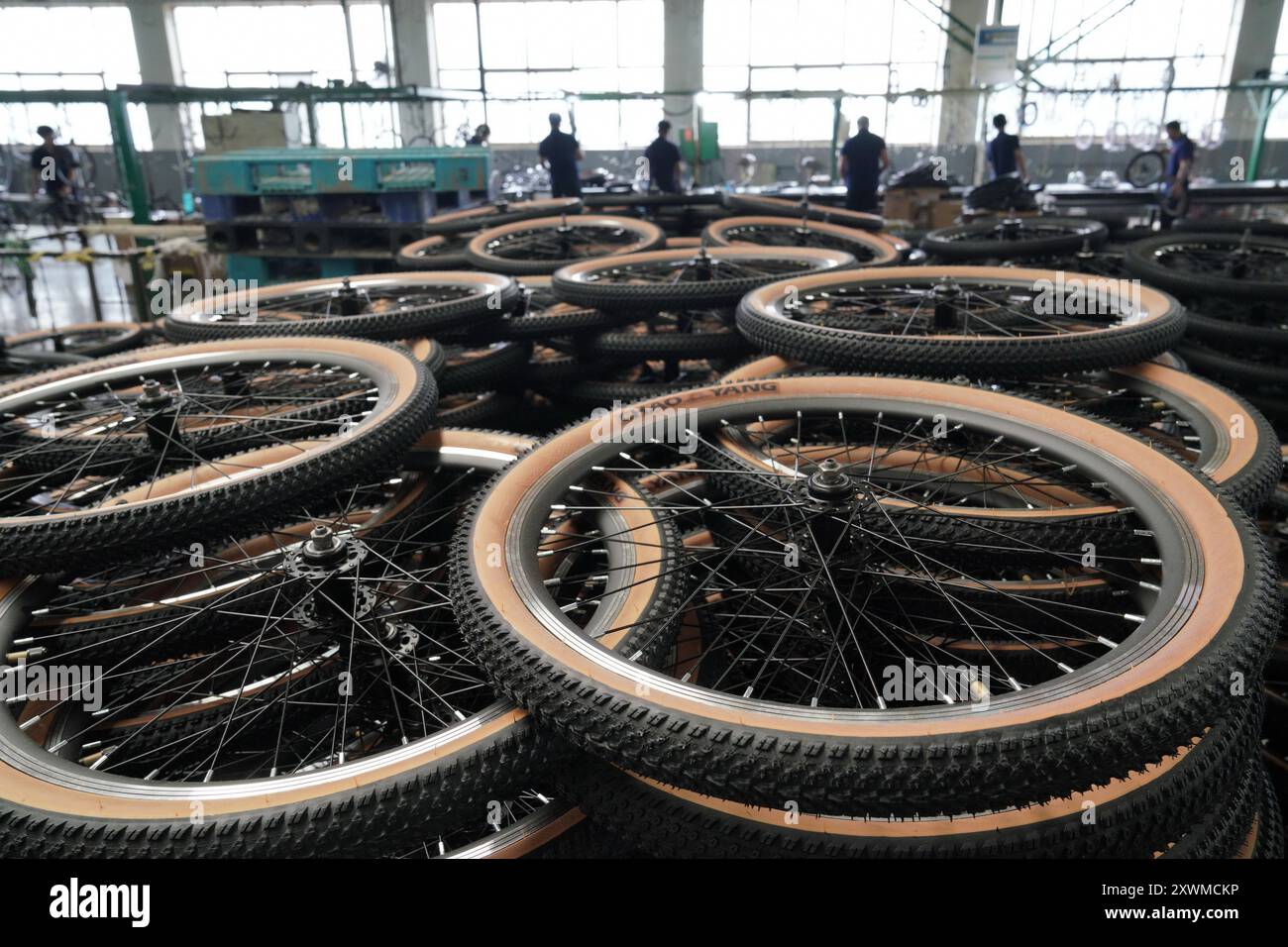 Shijiazhuang, China's Hebei Province. 19th Aug, 2024. Workers are seen ...