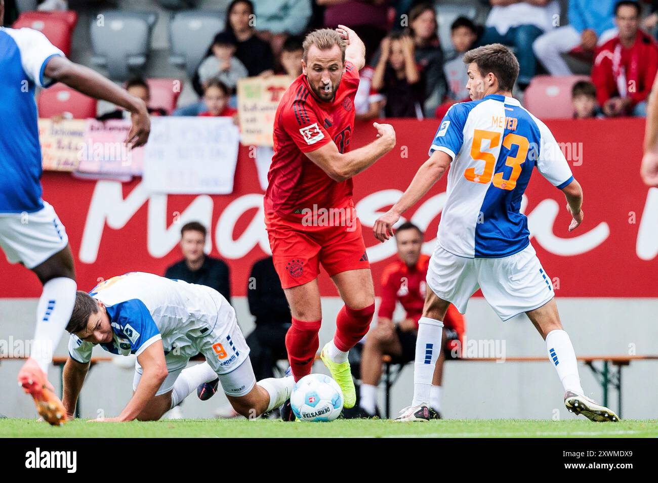 Grasshopper club z rich hi-res stock photography and images - Alamy