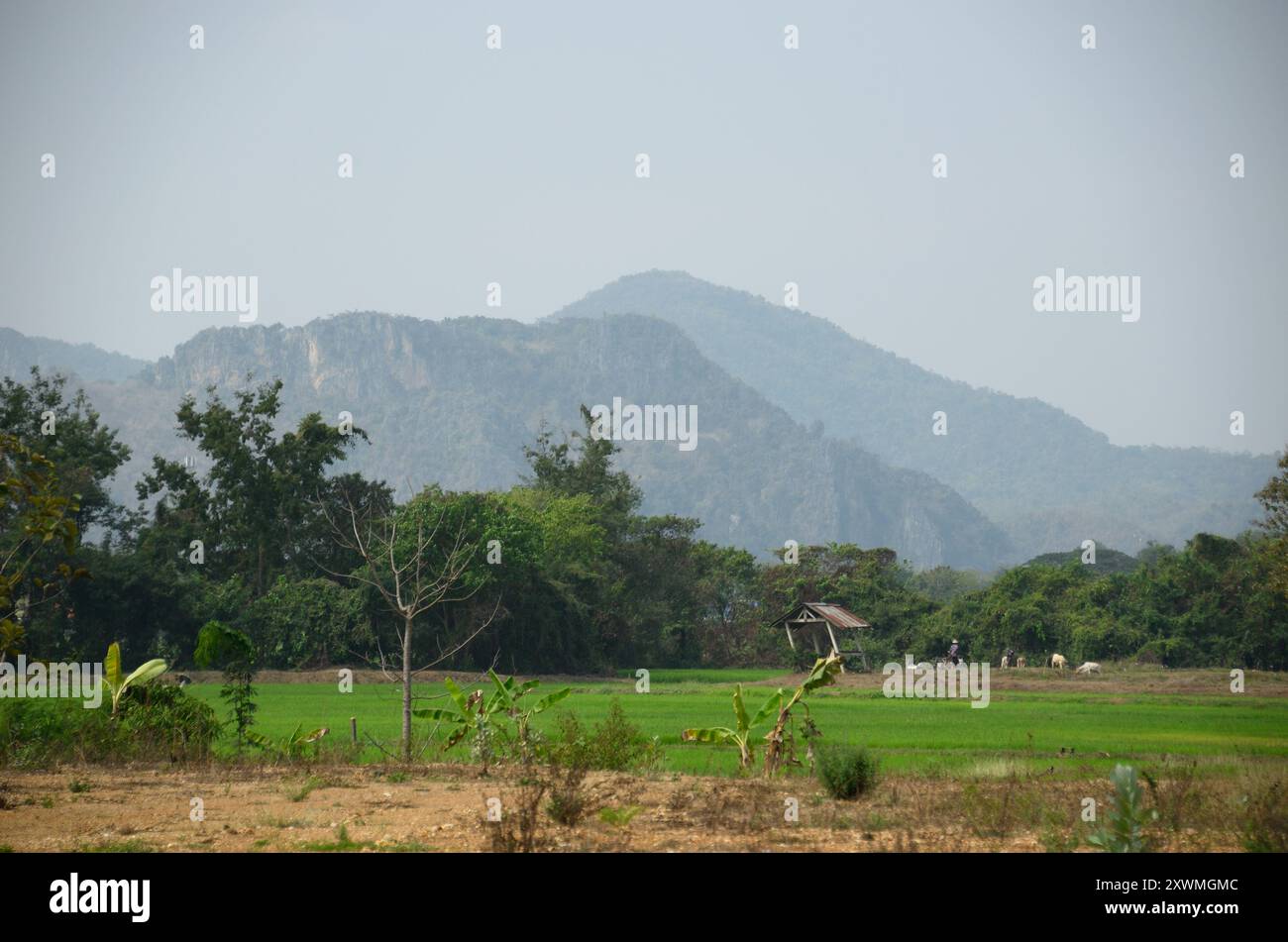 Wat Phiphat Mongkhon, Thung Saliam, Thung Saliam District, Sukhothai ...