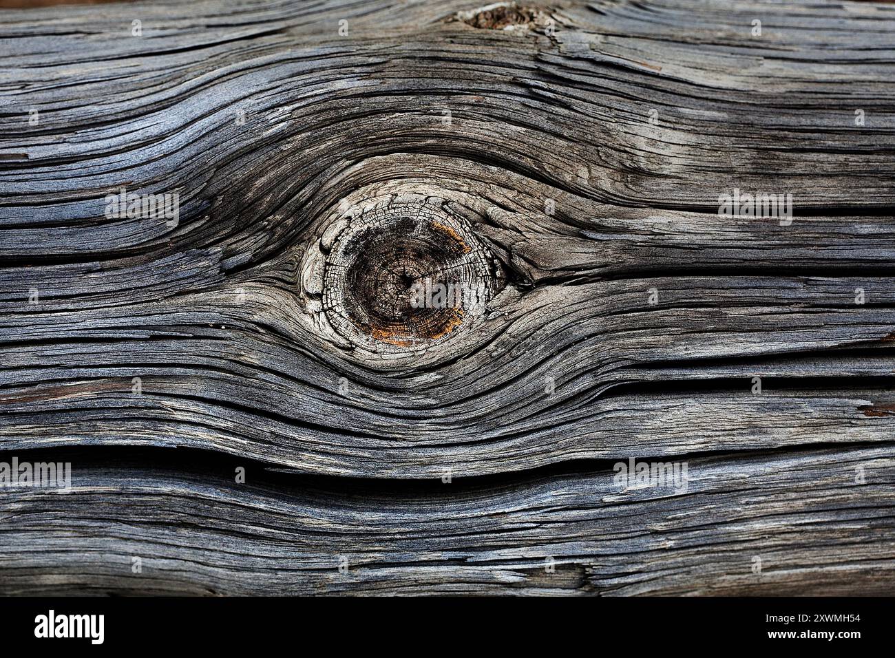 Pine knot hi-res stock photography and images - Alamy
