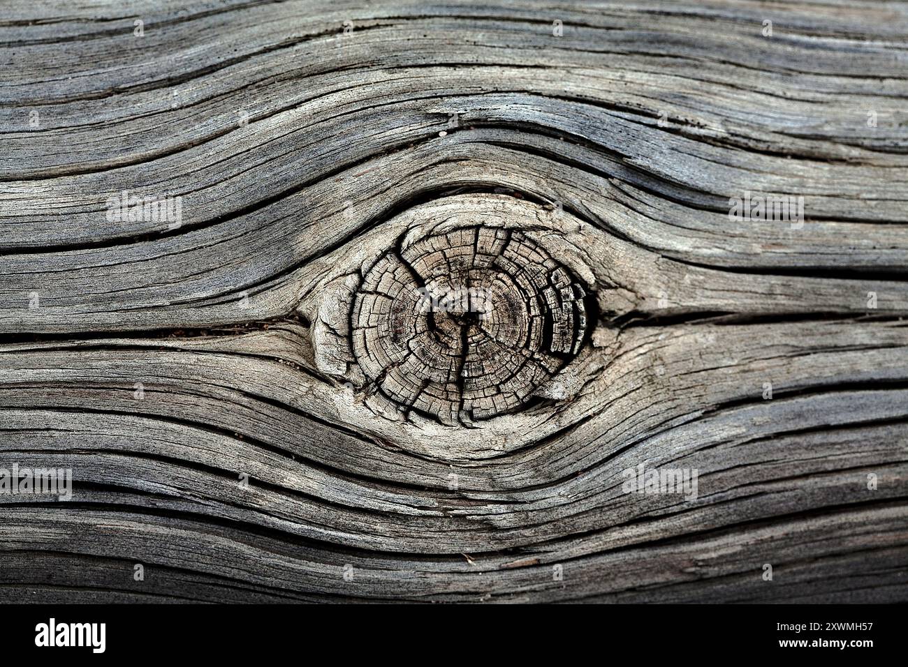 Pine knot hi-res stock photography and images - Alamy