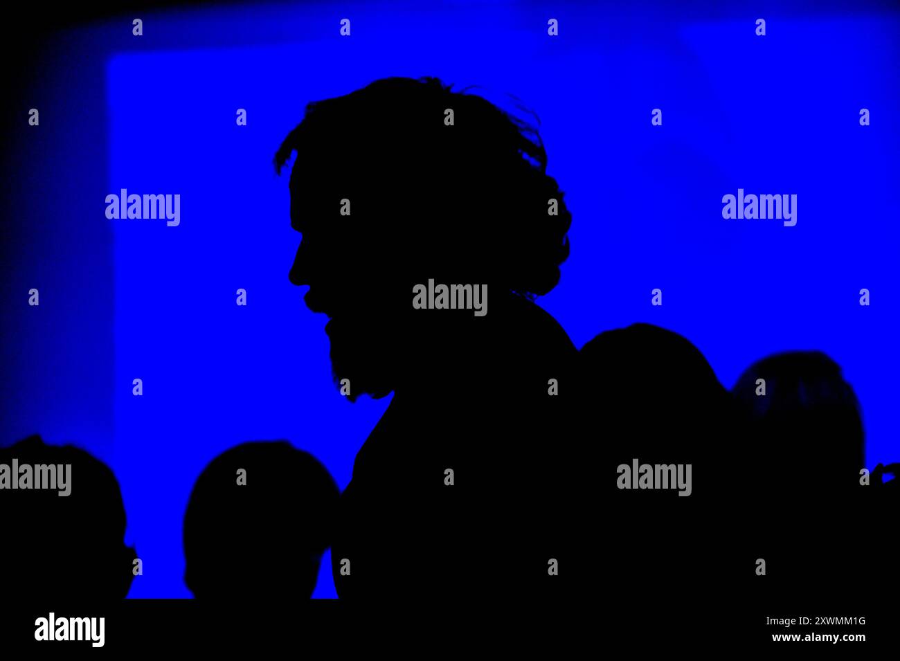 mental deviation, human, incapacitation, mental health,dangerous ...