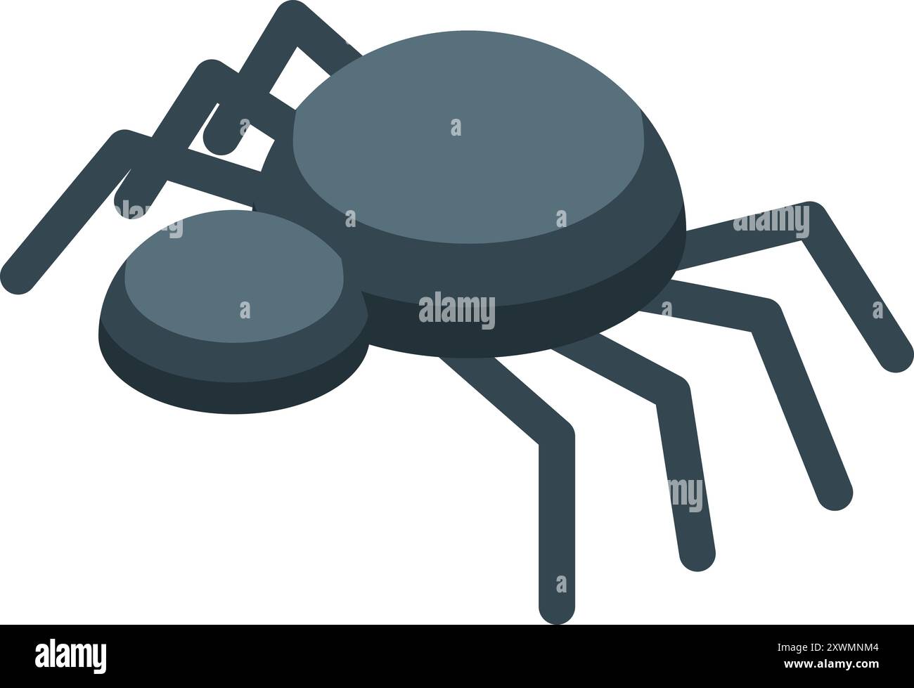 Black widow spider crawling in an isometric view Stock Vector Image ...