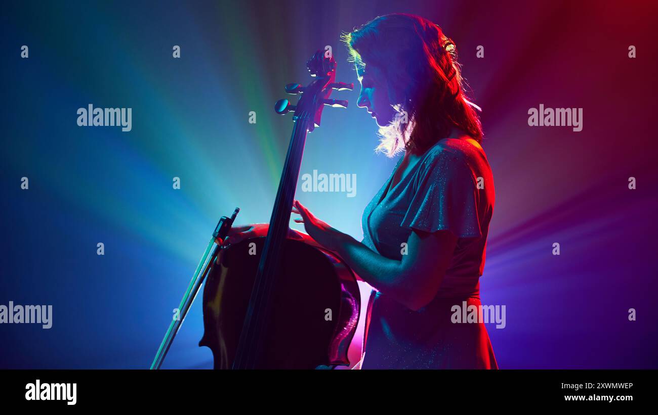 Silhouette of artistic woman, musician standing on stage with musical ...