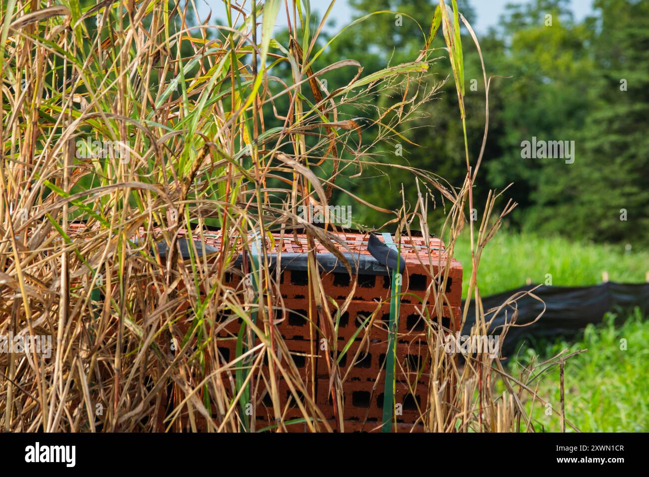 Abandoned construction site hi-res stock photography and images - Alamy