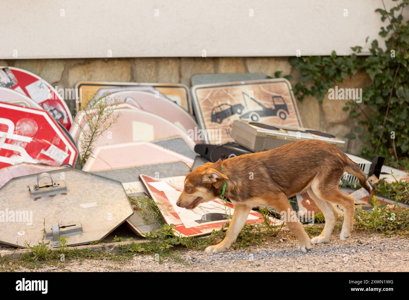 Animal dump hi-res stock photography and images - Alamy