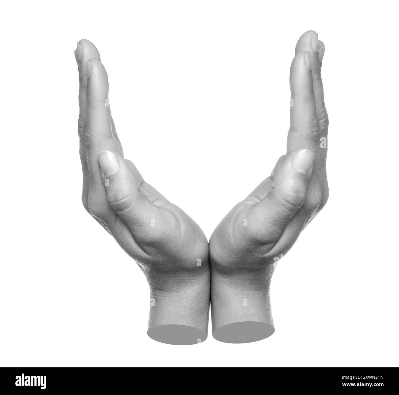 Hands shows virtual holding something isolated on a transparent ...