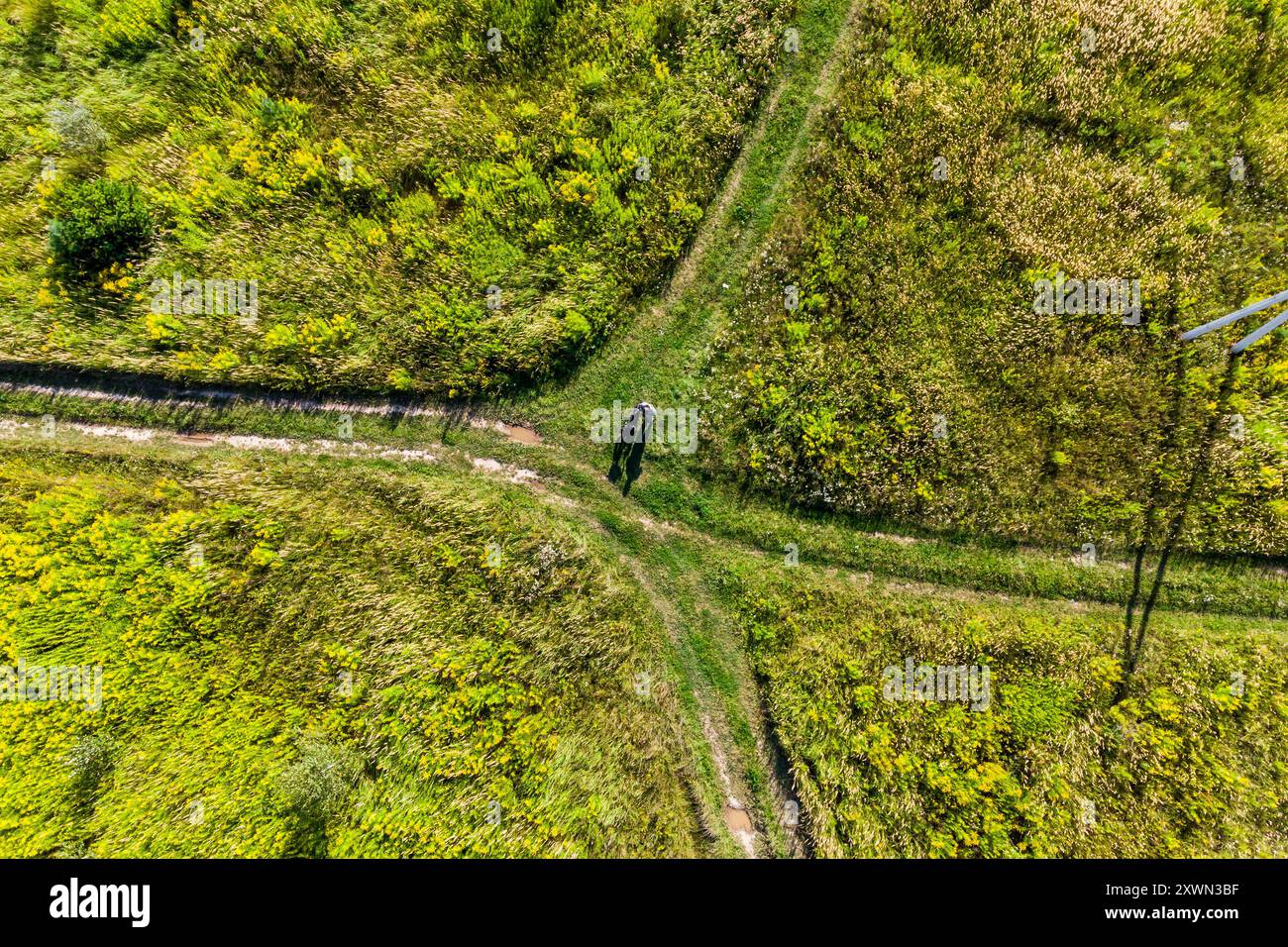 Intersection in a dirt road hi-res stock photography and images - Alamy