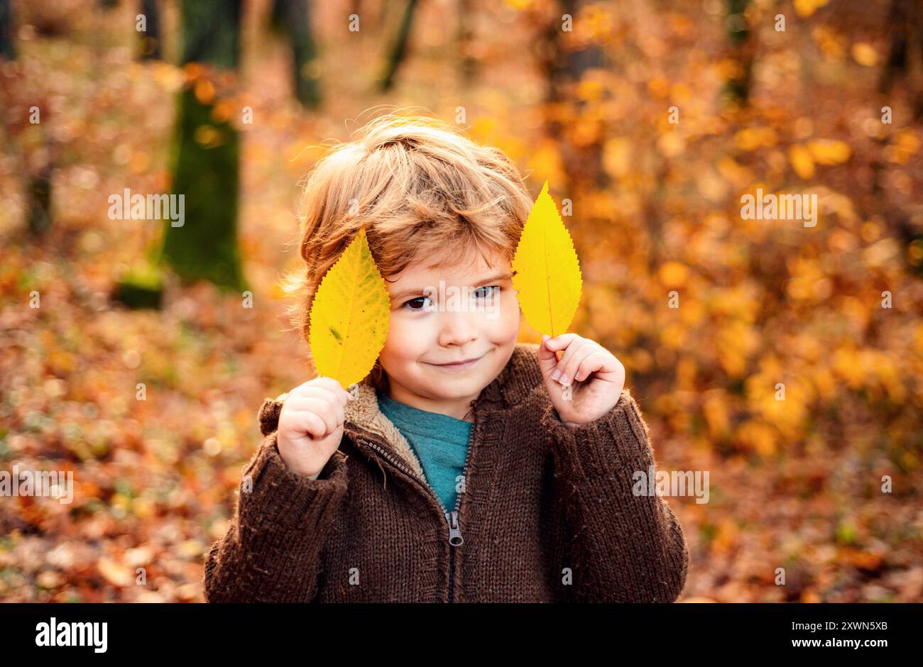 Autumn child portrait. Cute kid playing with autumn leaves Stock Photo ...