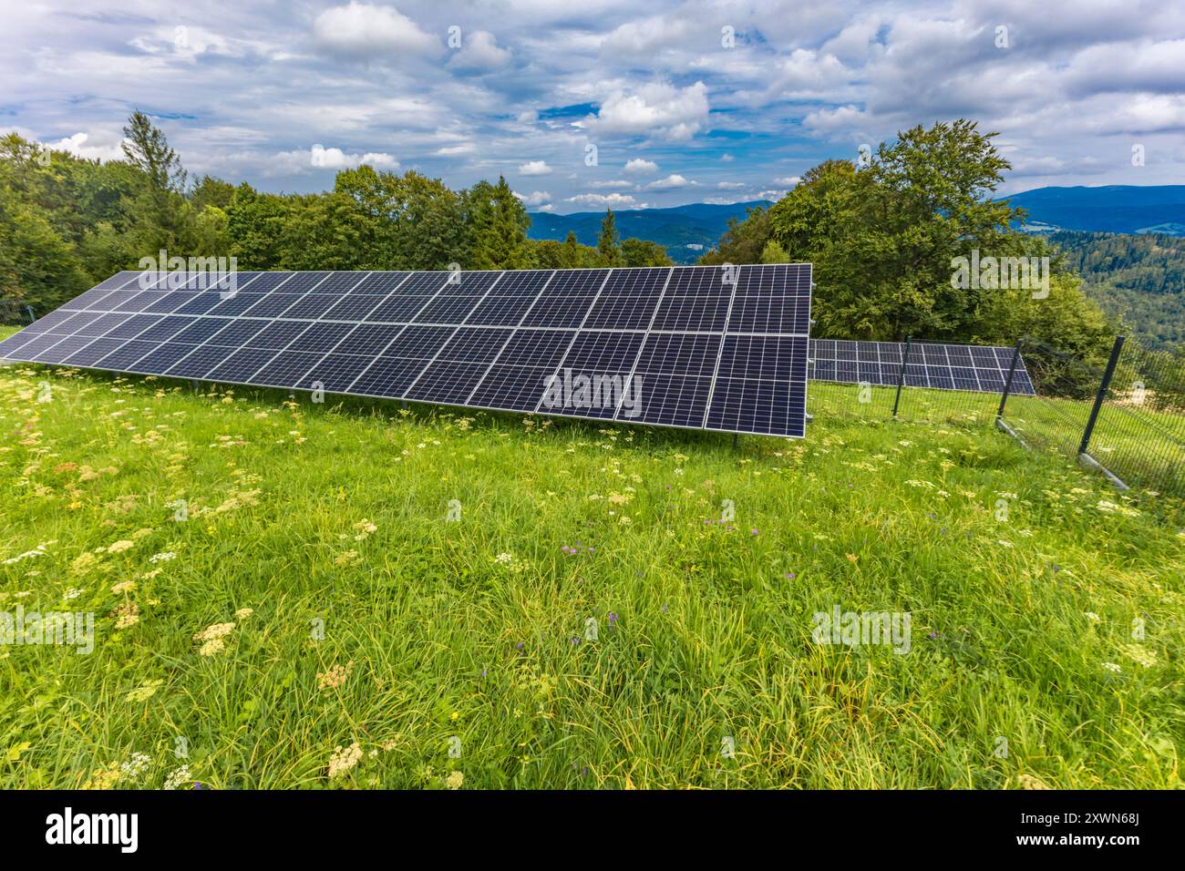 Photovoltaic panels installed on a green meadow, cheap electricity for ...