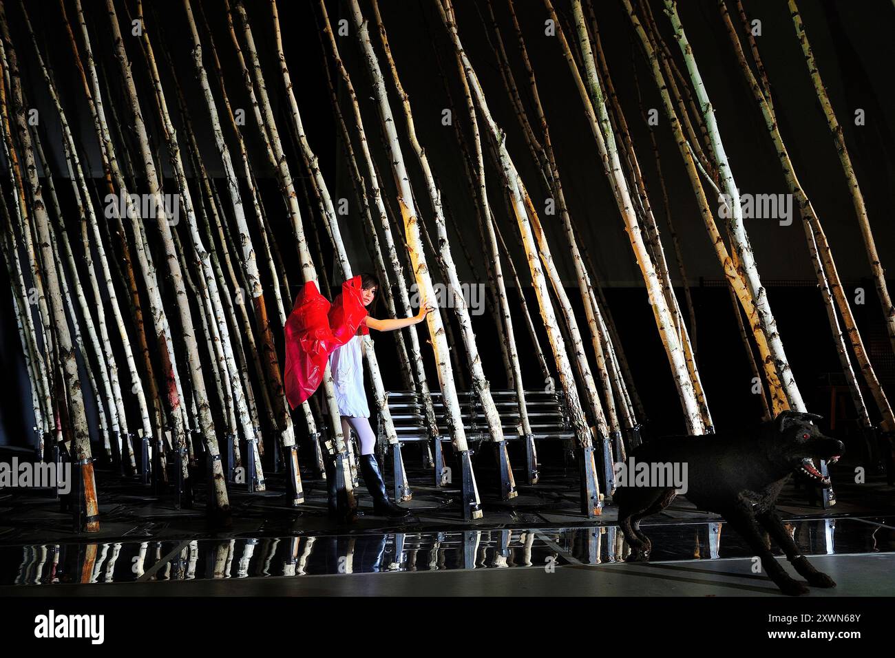 violence, victim, criminal, prisoner, kidnapping for ransom, woman ...