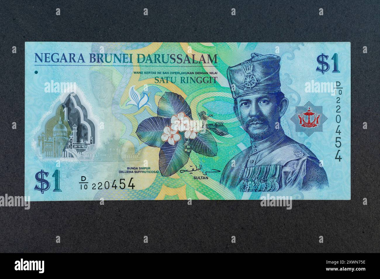 Sultan hassan al bolkiah hi-res stock photography and images - Alamy