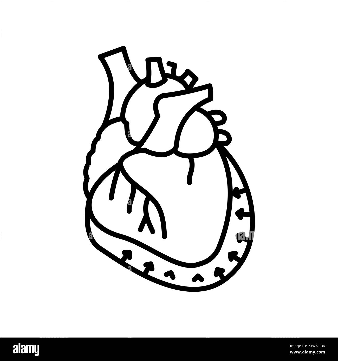 Rheumatic vector vectors hi-res stock photography and images - Alamy