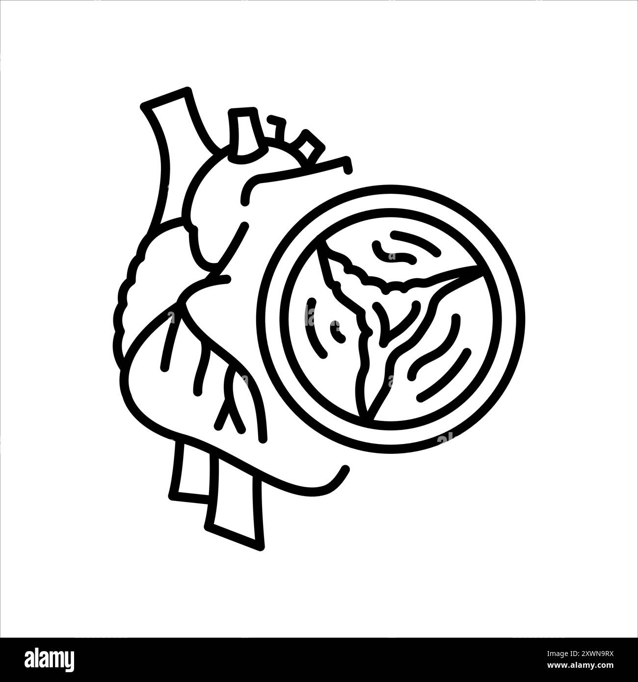 Valvular heart disease line black icon. Sign for web page, mobile app ...