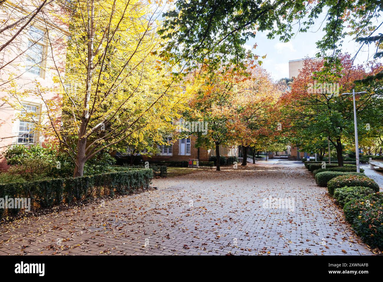 Melbourne University Campus Parkville Australia Stock Photo - Alamy