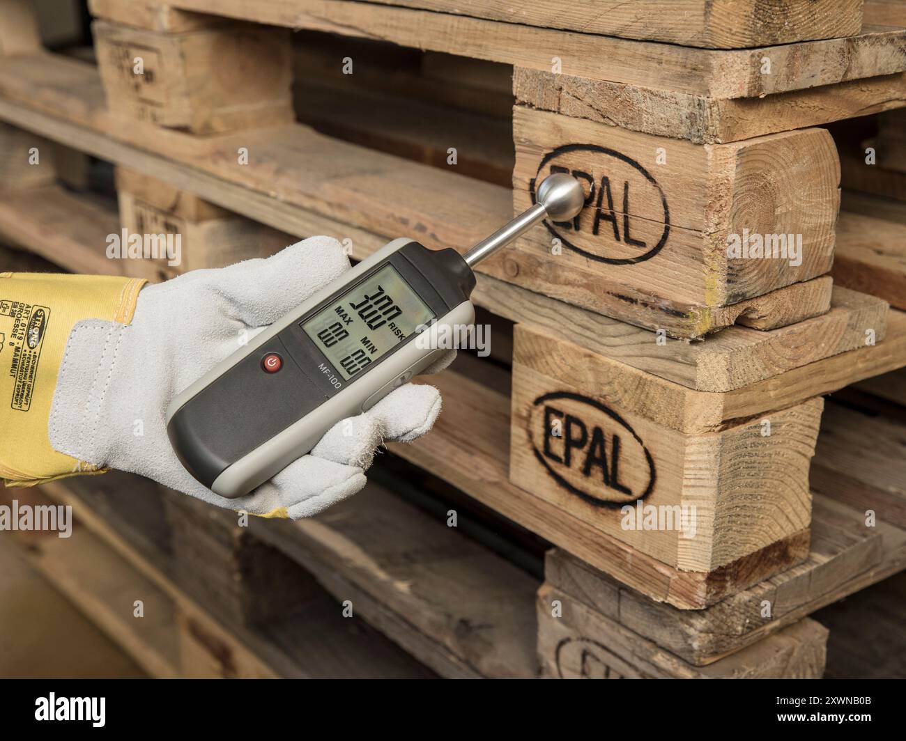 Measuring moisture on a palette with electronic device Stock Photo - Alamy
