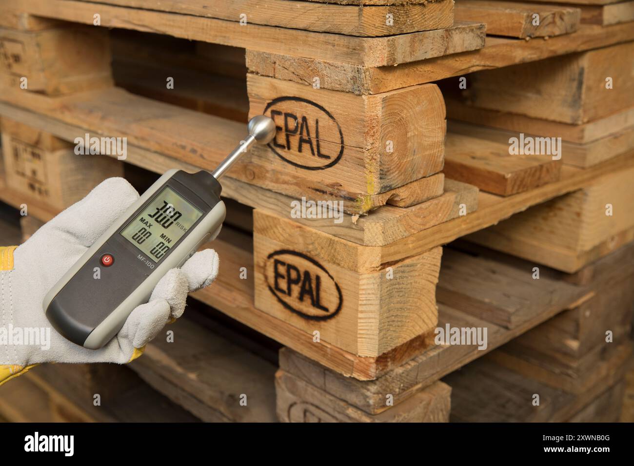 Measuring moisture on a palette with electronic device Stock Photo - Alamy