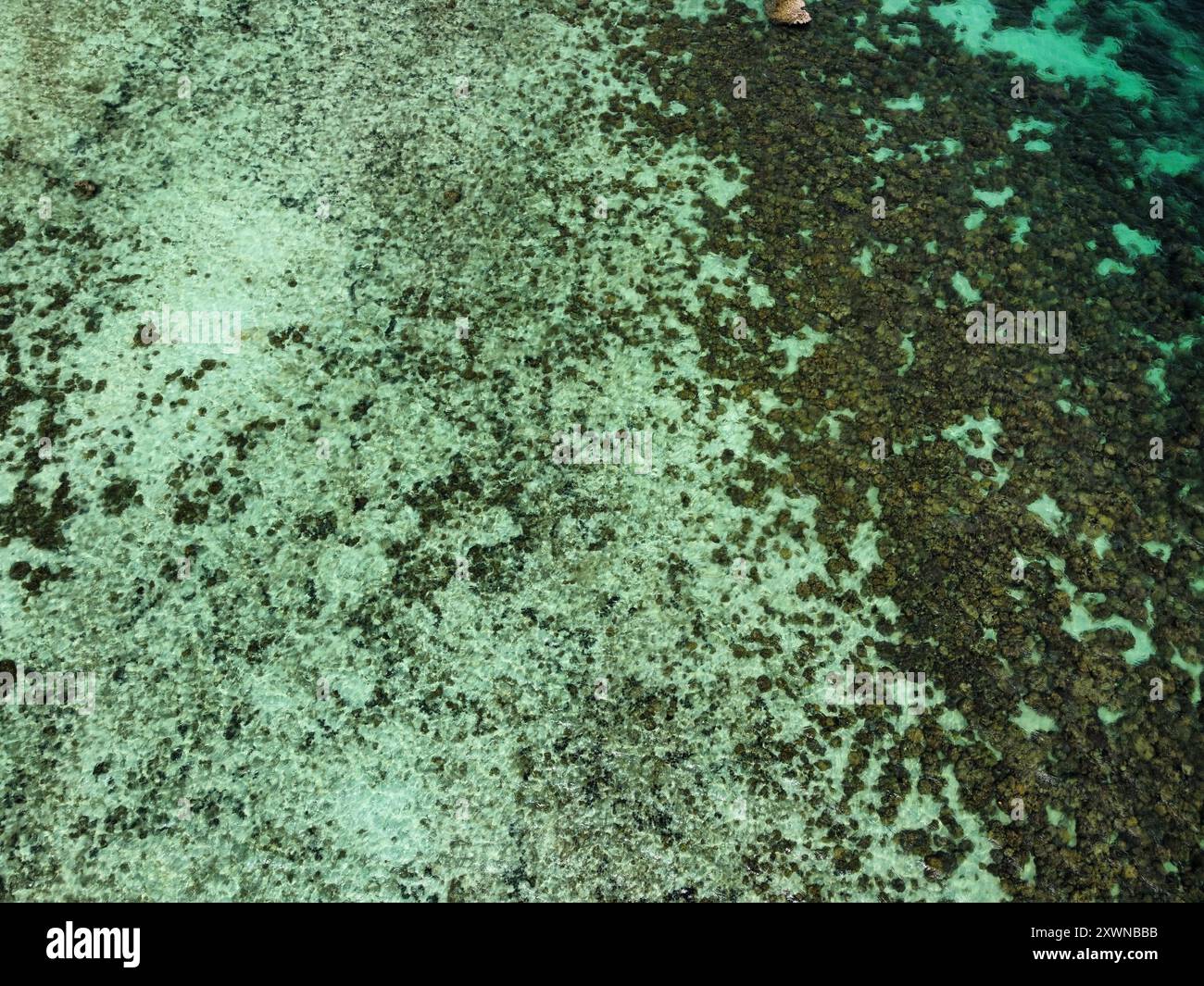 Aerial reef in clear tropical hi-res stock photography and images - Alamy