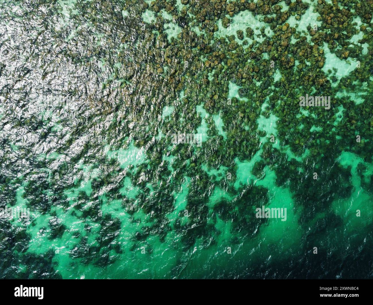 Aerial view of the coral reef in Koh Ra Wi Stock Photo - Alamy