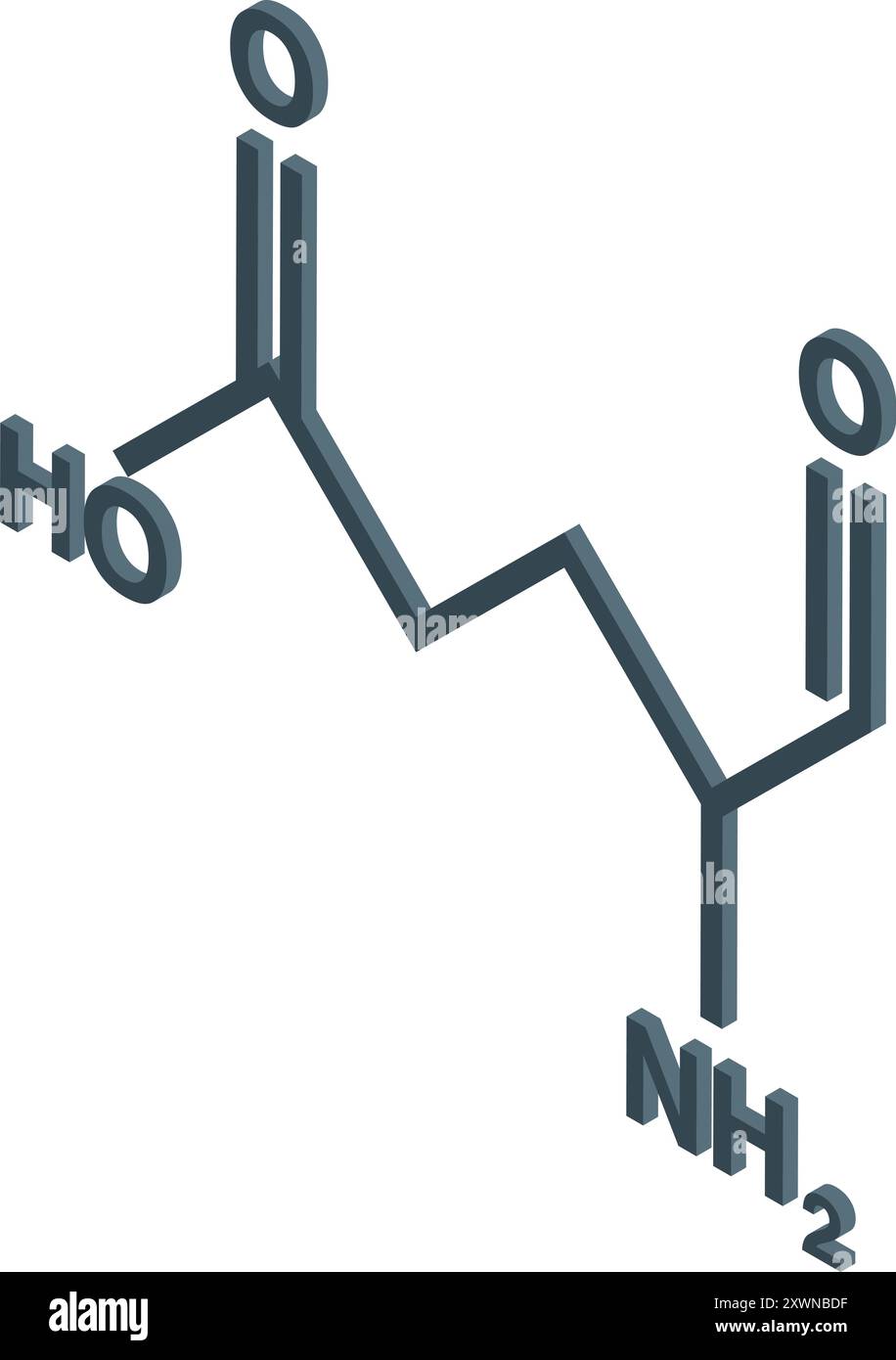Isometric structure of glutamic acid molecule showing the atoms and the ...