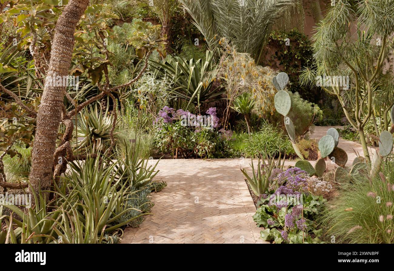 The foliage of exotic plants hi-res stock photography and images - Alamy