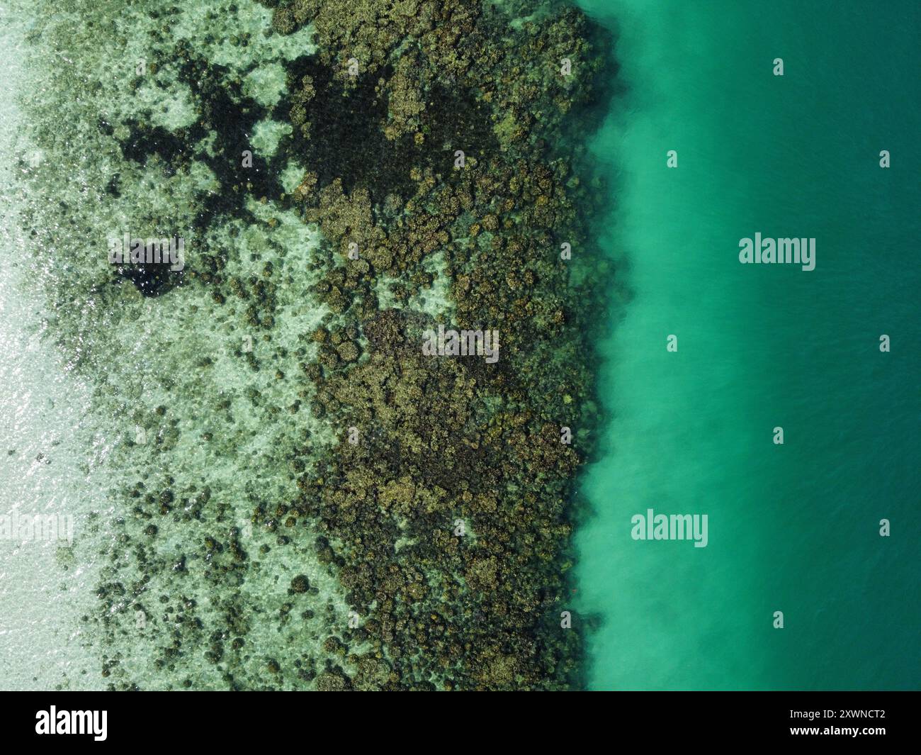 Aerial view of the coral reef in Ko Ngai during the low tide with an ...