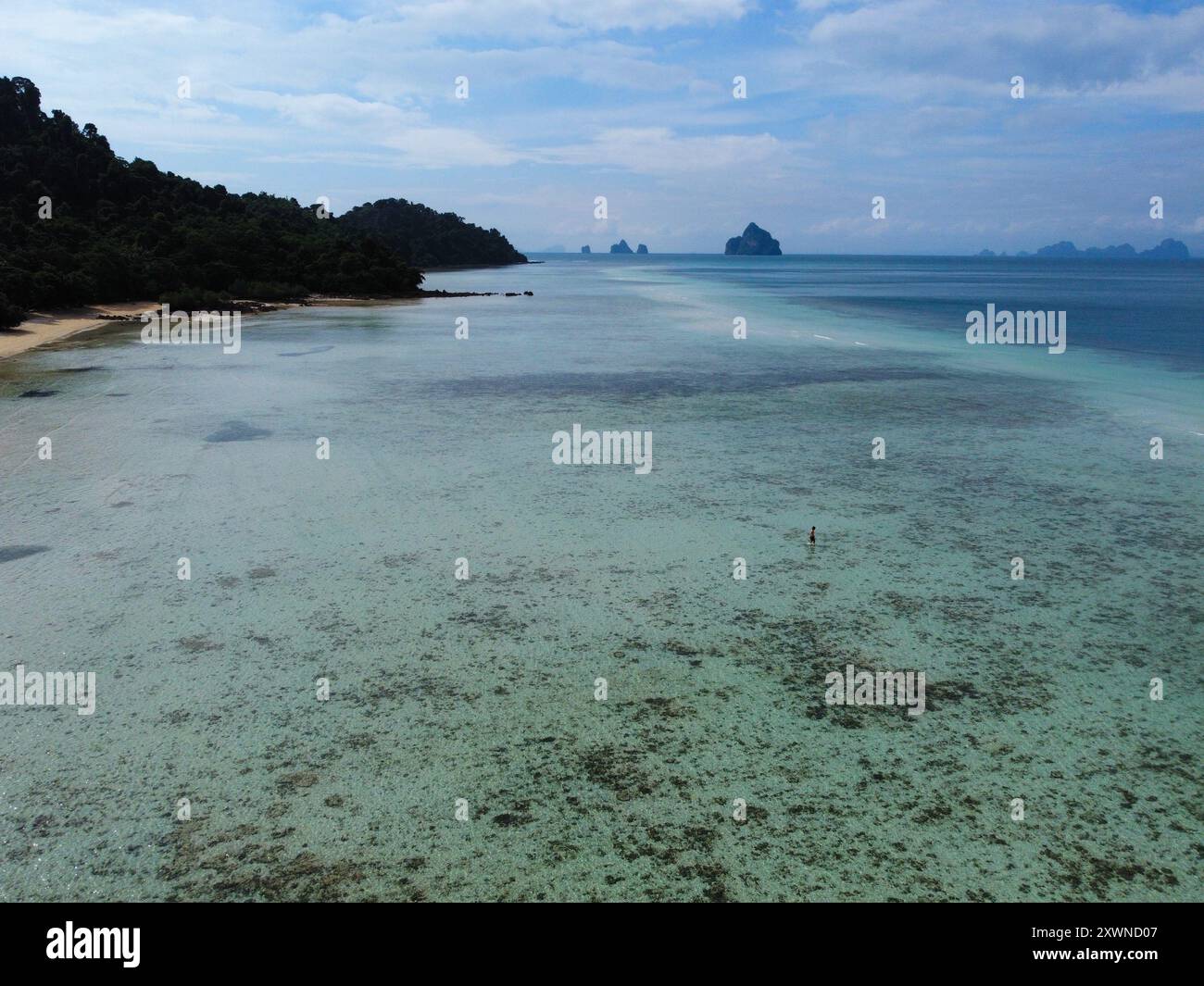 Aerial view of the Koh Kradan beach at low tide, with the coral reef on ...