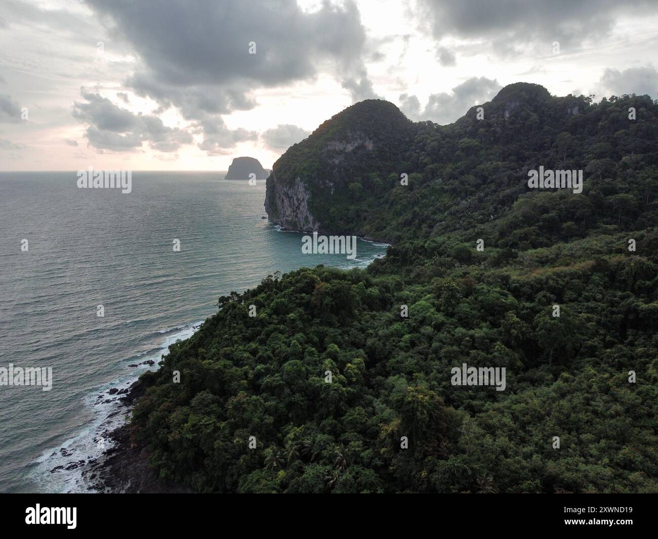 Aerial view of the tropical forest and limestone mountains from the ...