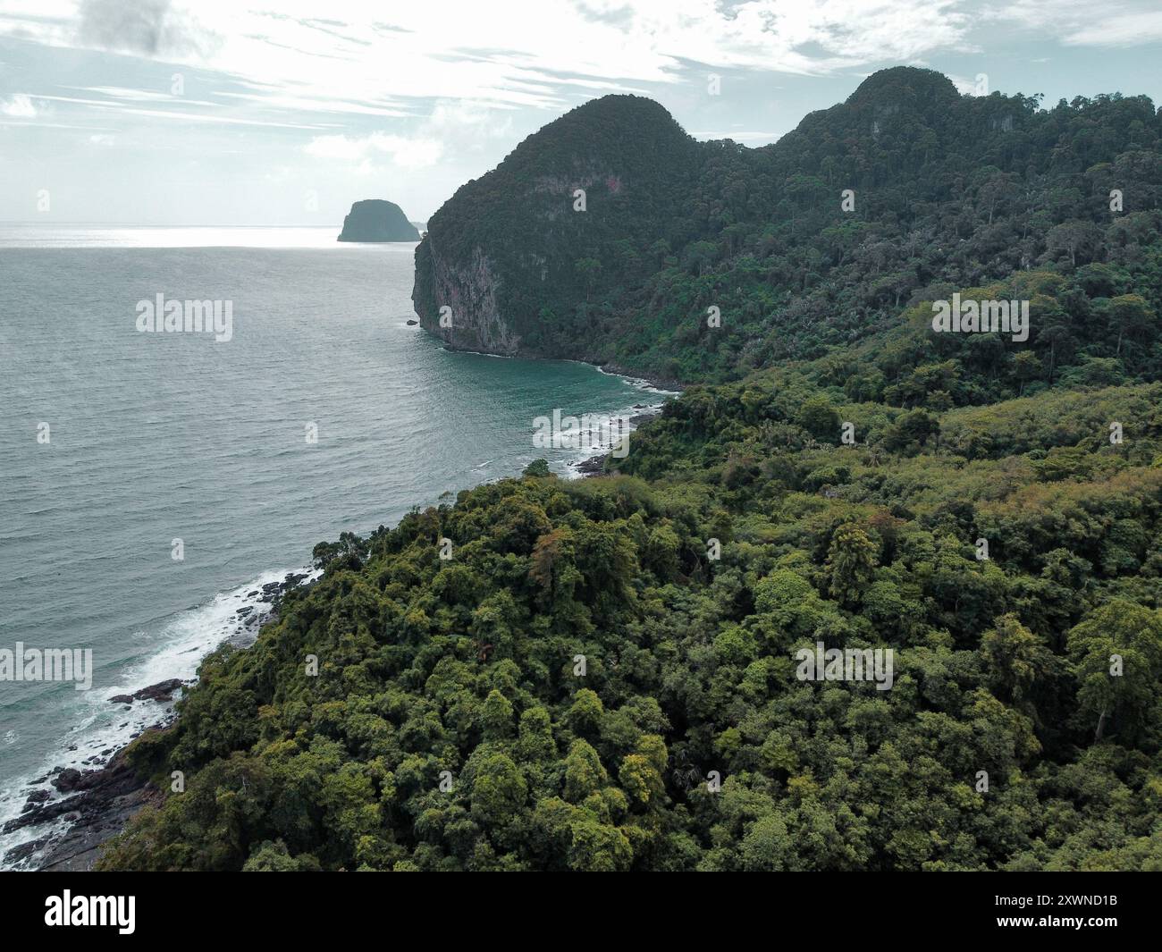 Aerial view of the tropical forest and limestone mountains from the ...