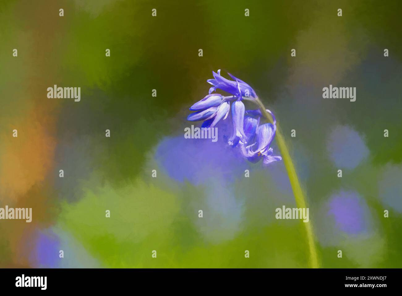 A digital oil painting of purple bluebell flowers in a magical ...