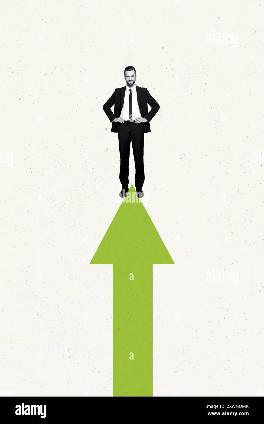 Vertical collage young confident businessman growth arrow increase ...