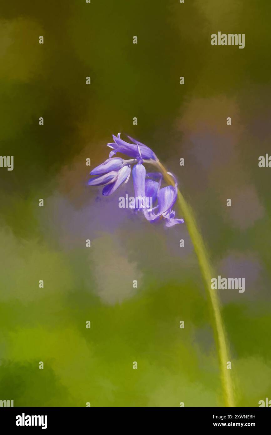 A digital oil painting of purple bluebell flowers in a magical ...