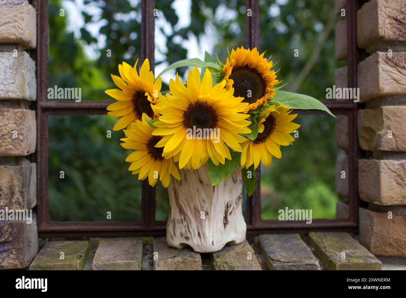 Sunflower vase window hi-res stock photography and images - Alamy