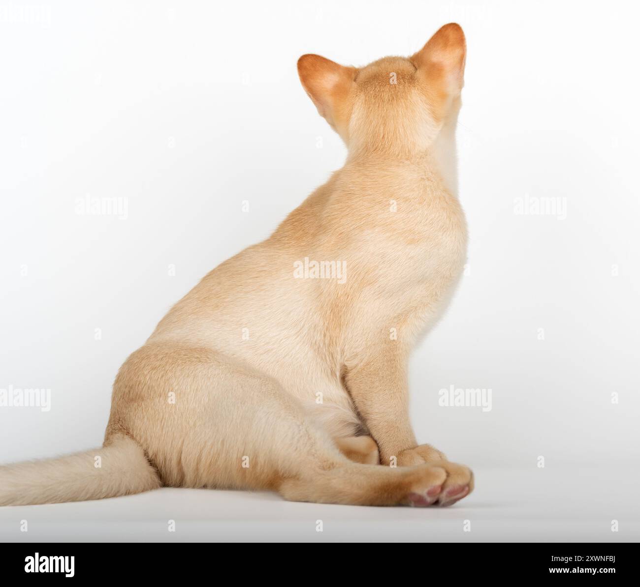 Looking down the side walk hi-res stock photography and images - Alamy