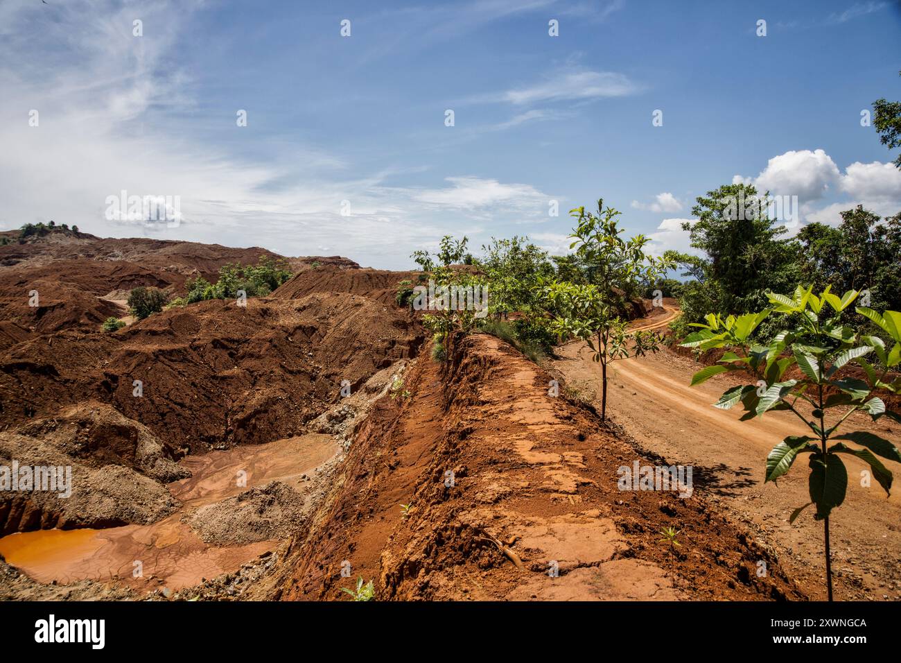 Nickel extraction, Mining in Labengki, Sulawesi, Indonesia, Asia Stock ...