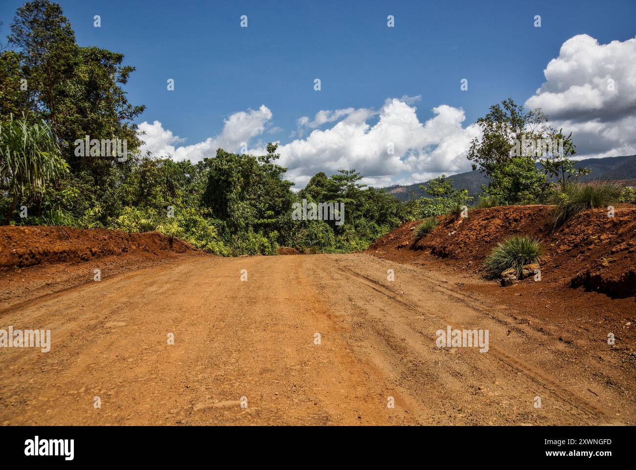 Nickel extraction, Mining in Labengki, Sulawesi, Indonesia, Asia Stock ...