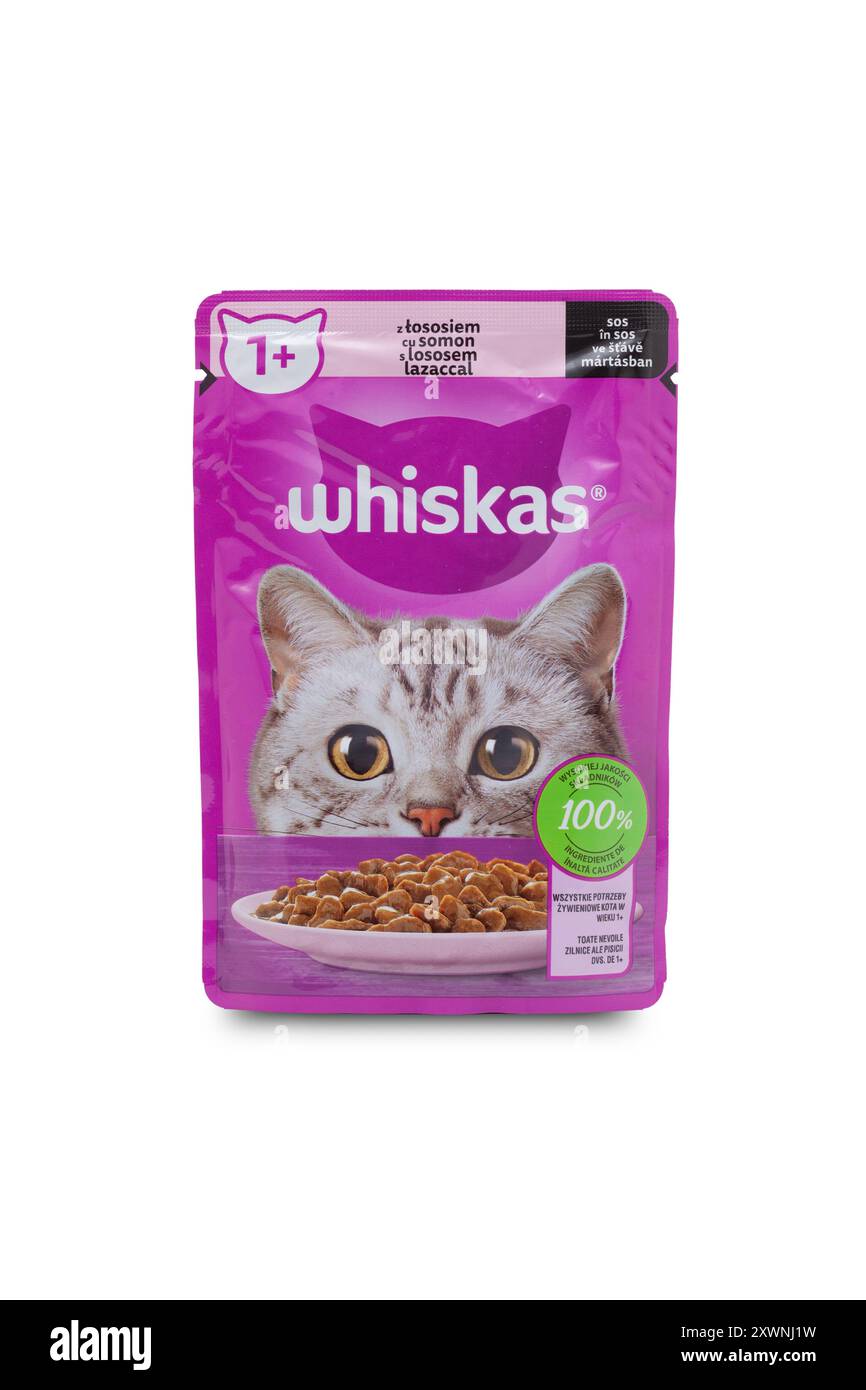 Cat 20 Cut Out Stock Images & Pictures - Alamy