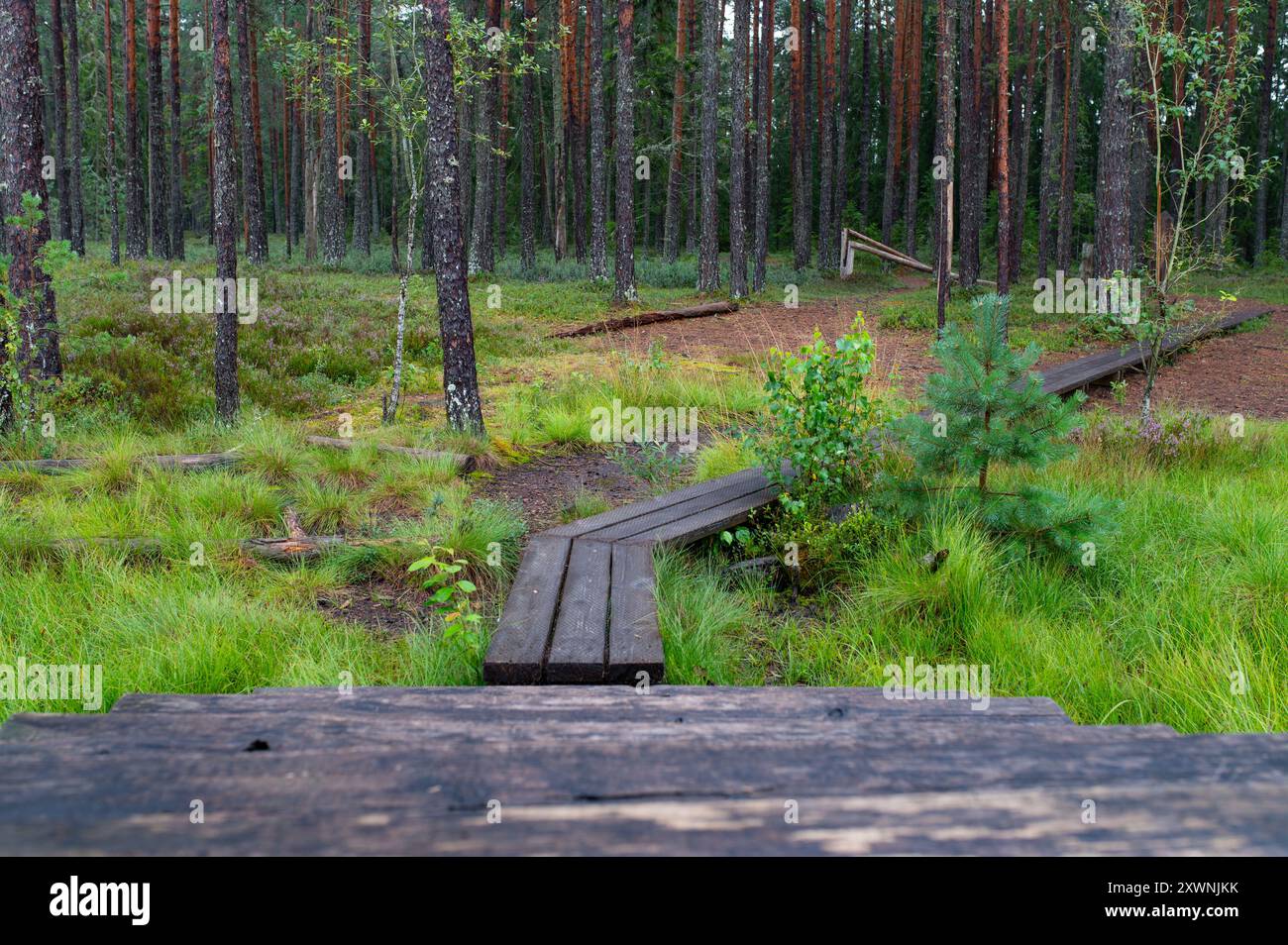 World Environment Day. World Climate Change Day. Clean Air Day. Window ...
