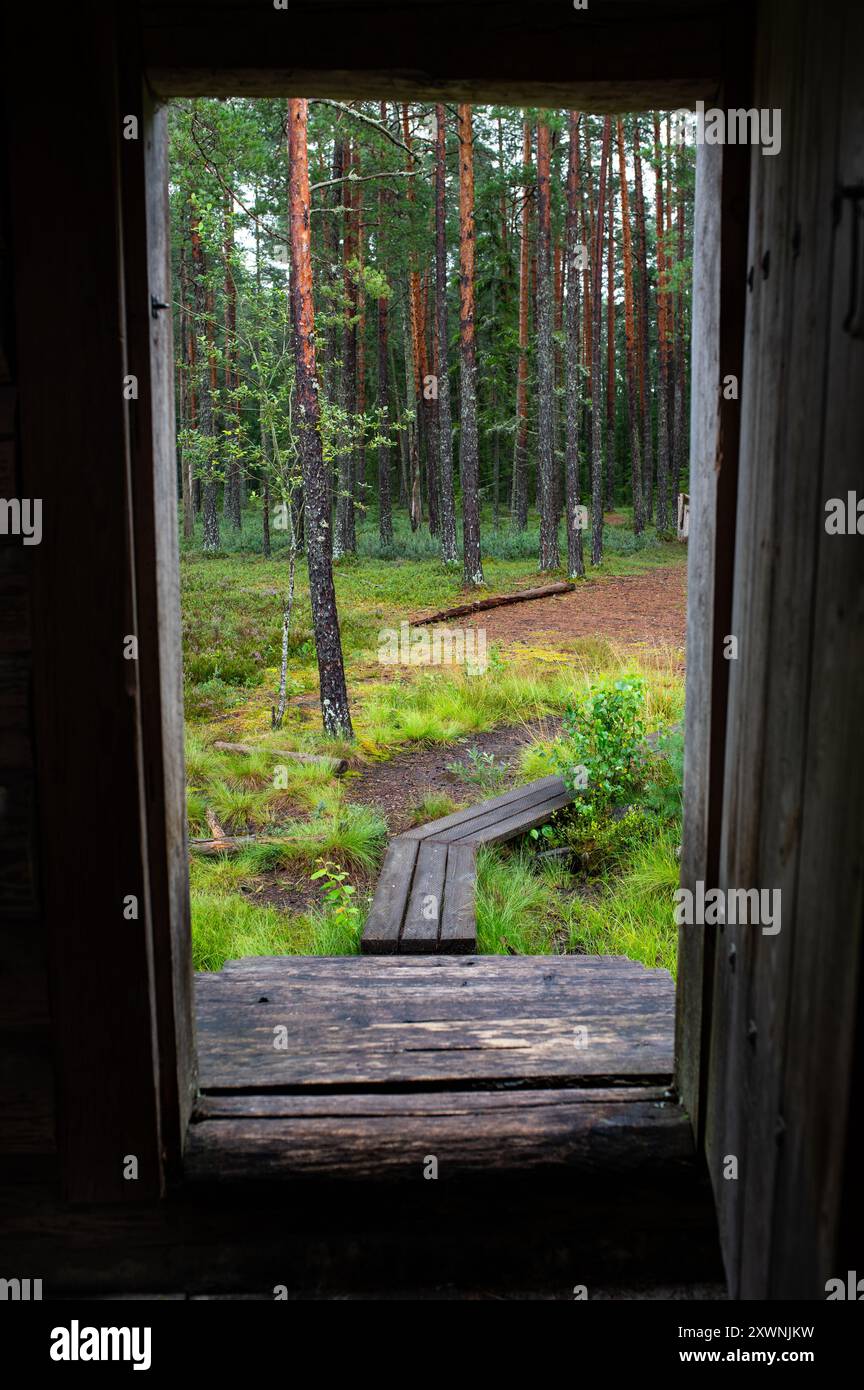 World Environment Day. World Climate Change Day. Clean Air Day. Window ...
