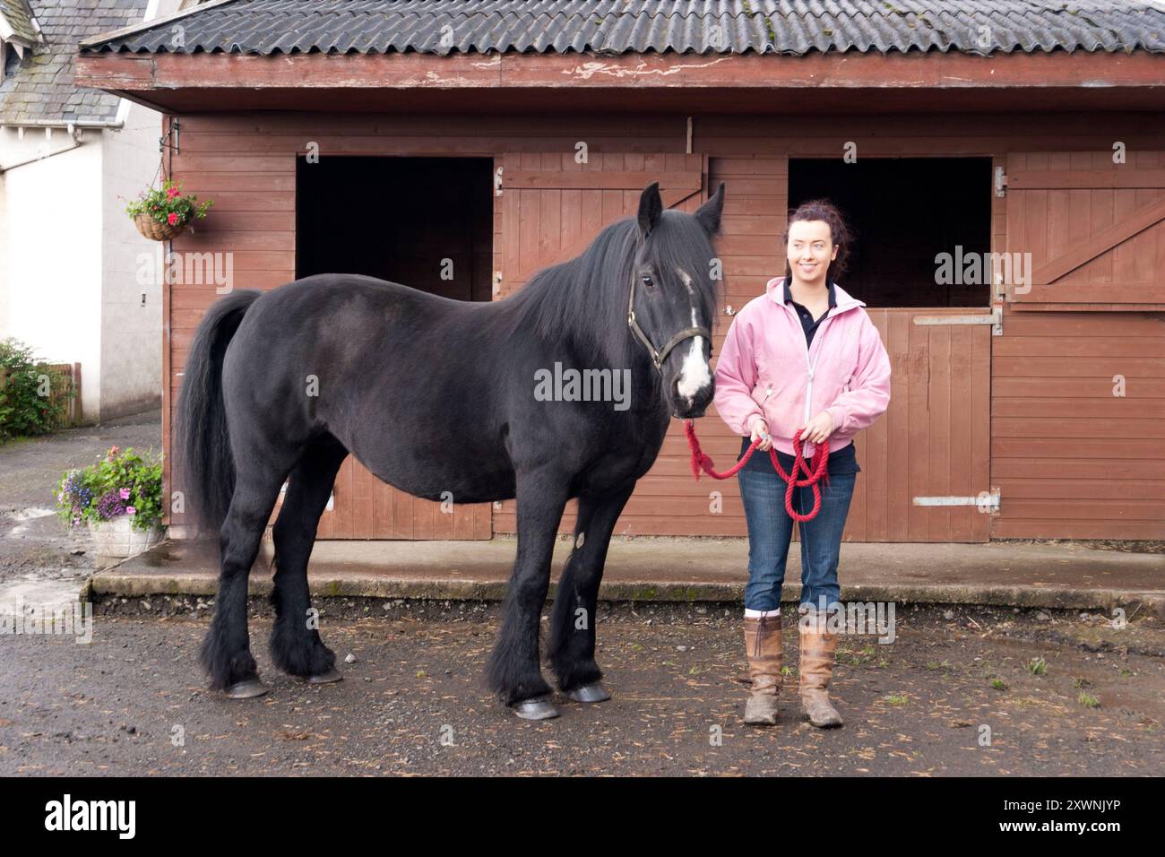 Leading horse outside hi-res stock photography and images - Alamy