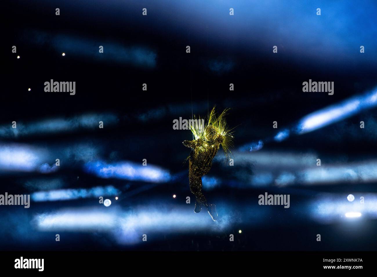 Michael memmler hi-res stock photography and images - Alamy