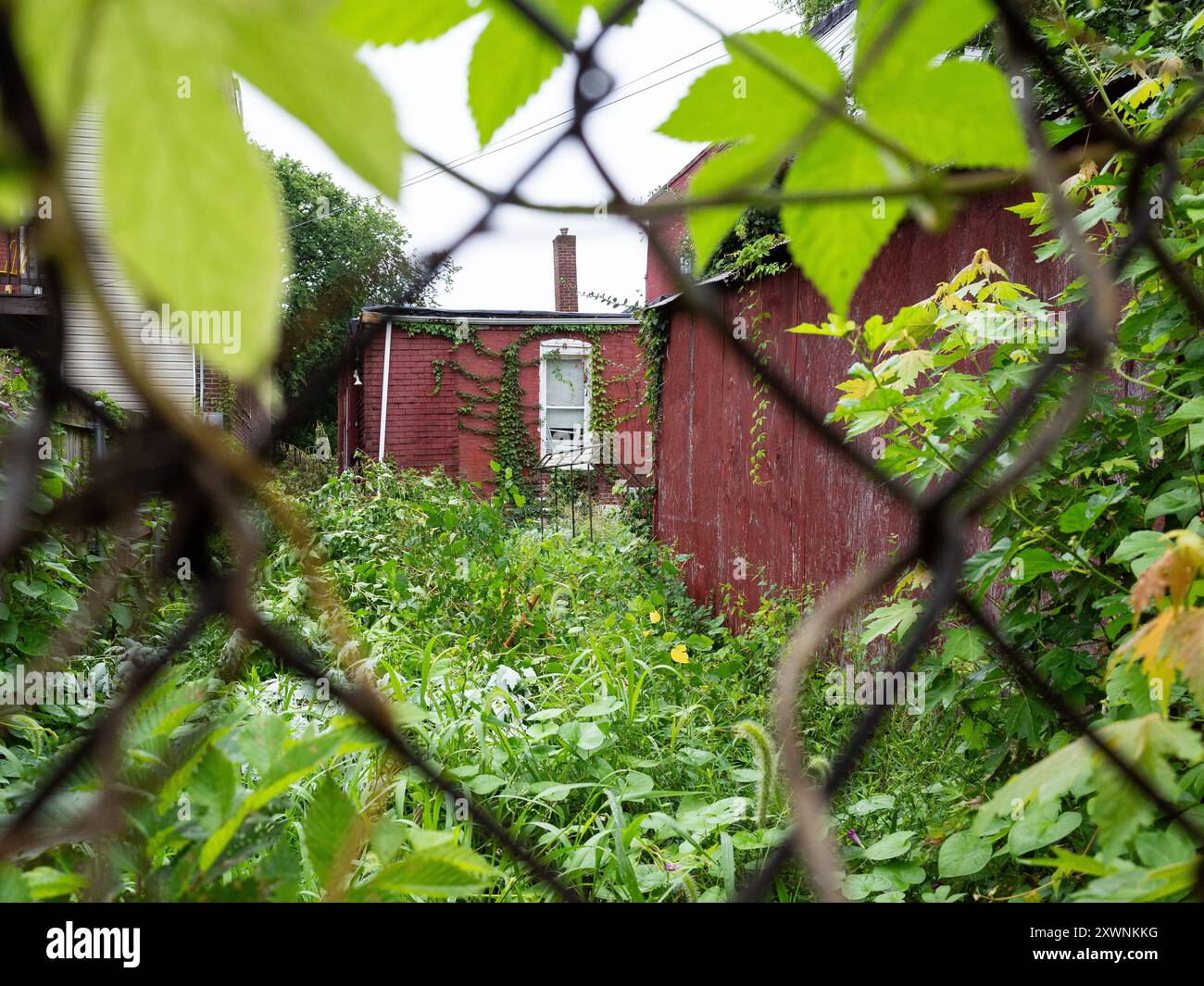Benton park view hi-res stock photography and images - Alamy