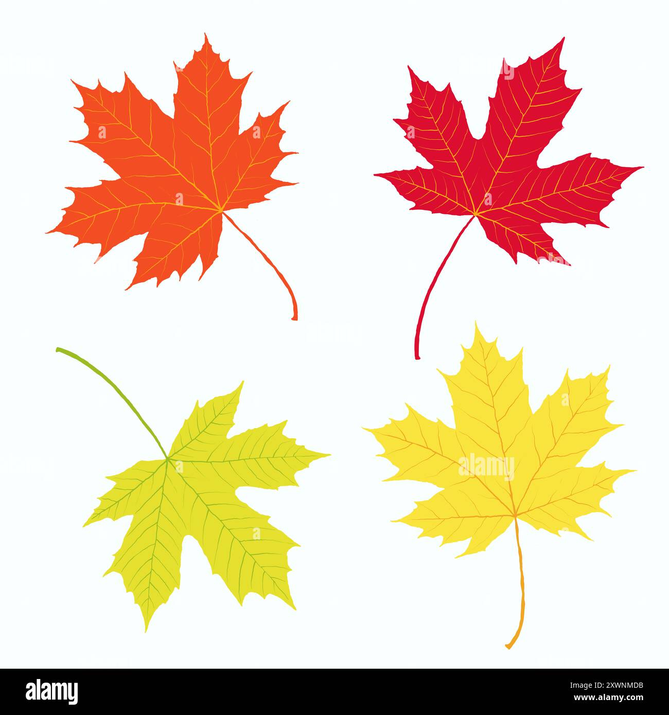 Cartoon autumn leaves hi-res stock photography and images - Alamy