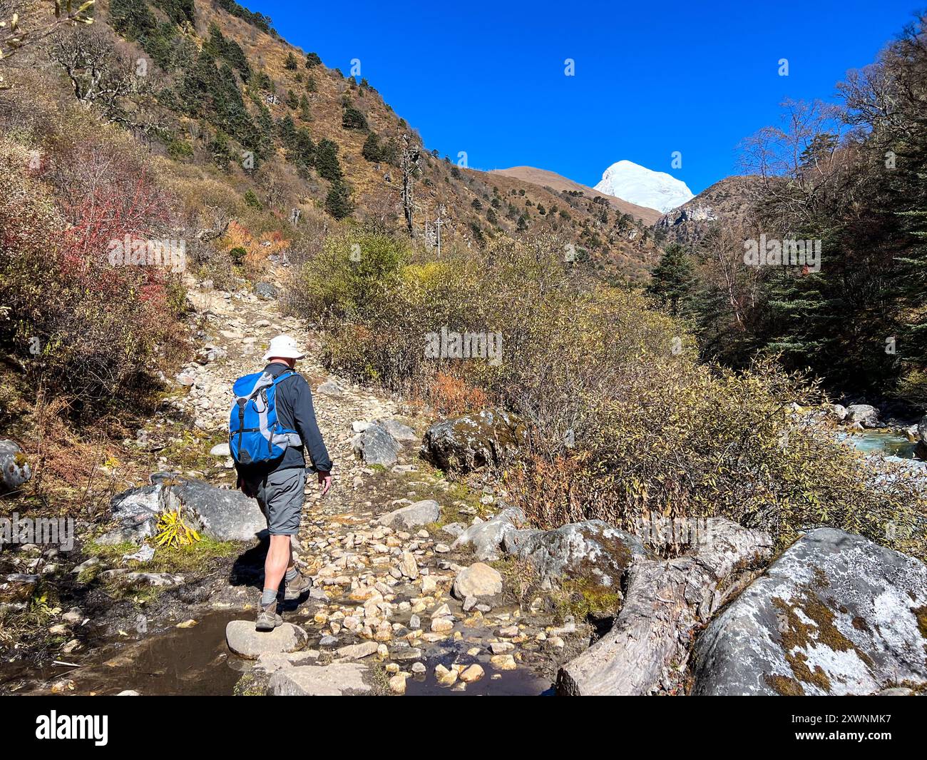 Chomholari trek hi-res stock photography and images - Alamy