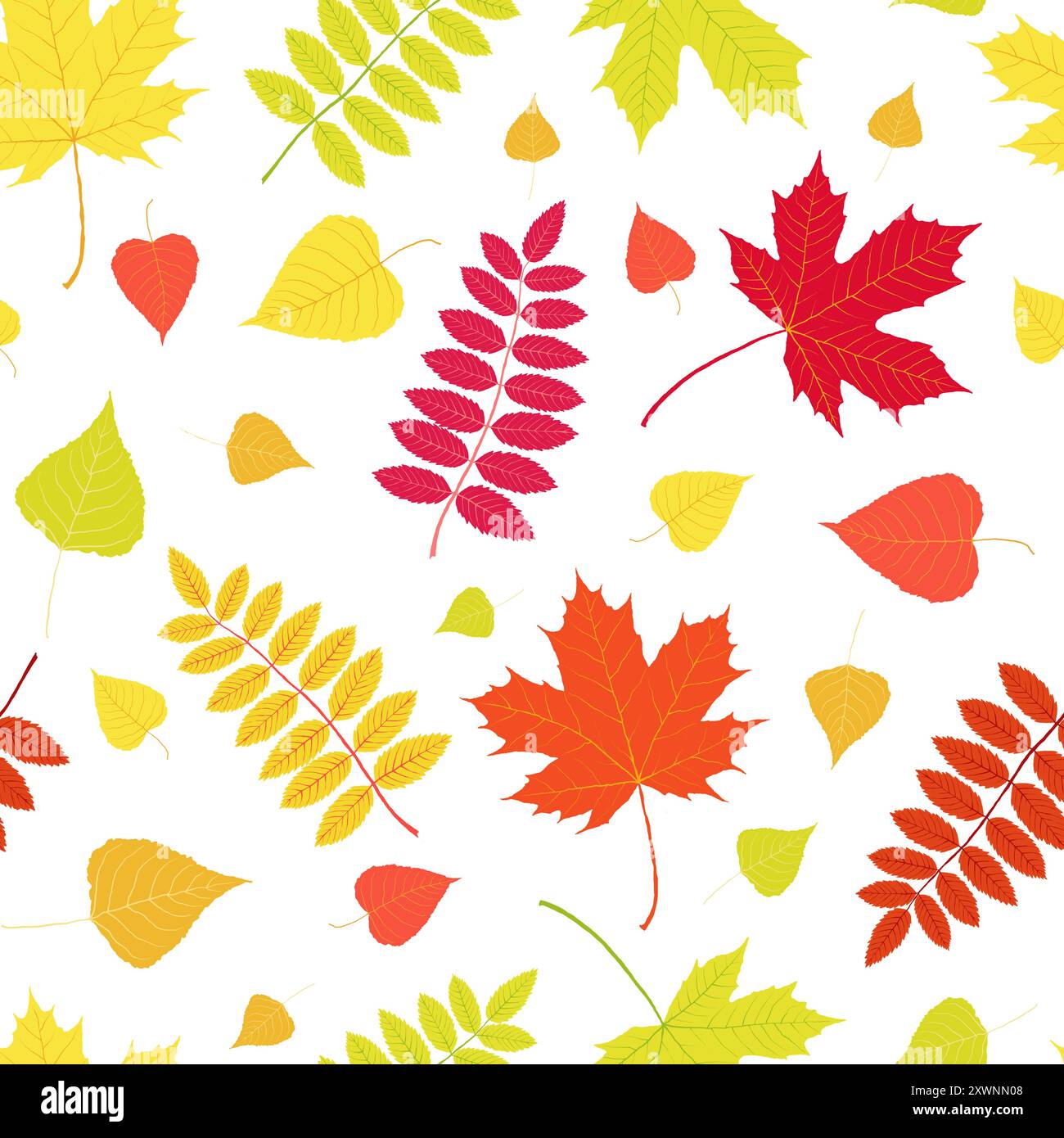 Autumn leaves pattern on white background, vector Stock Vector Image ...