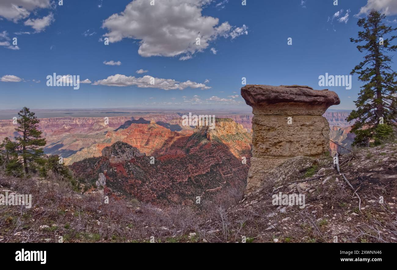 View from Siegfried Spire from Atoko Point, Siegfried Pyre, North Rim ...