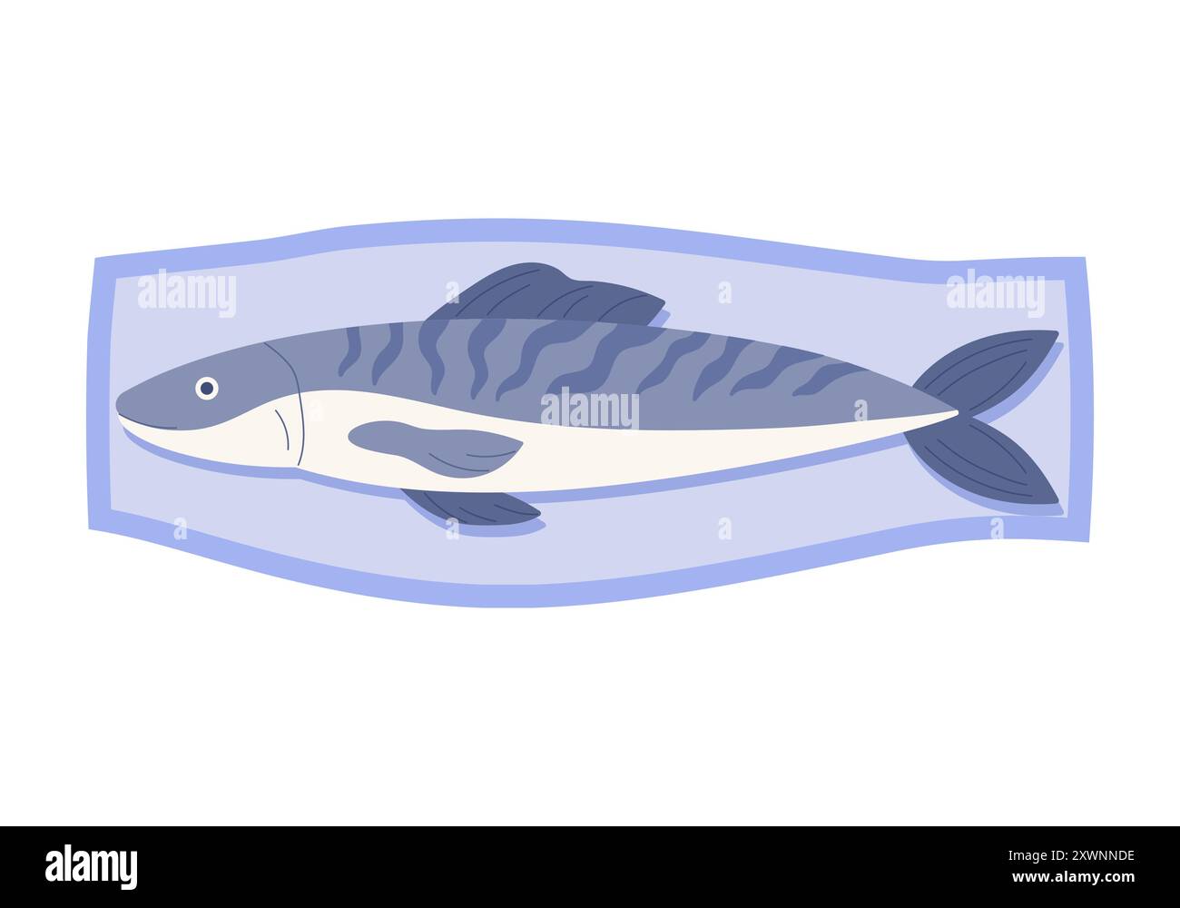 Plastic package with trout, top view of styrofoam container with fish ...